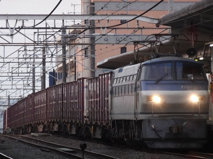 JR貨物 国鉄EF66形電気機関車 EF66-129 西国分寺駅 鉄道フォト・写真 by 浜五井の撮影記録さん | レイルラボ(RailLab)