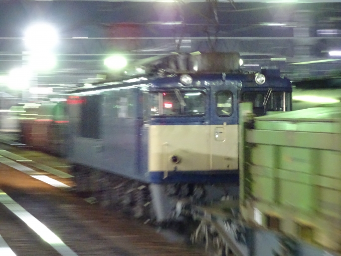 JR貨物 国鉄EF64形電気機関車 EF64-1024 南松本駅 鉄道フォト・写真 by 浜五井の撮影記録さん | レイルラボ(RailLab)