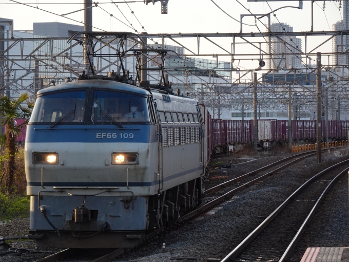 JR貨物 国鉄EF66形電気機関車 EF66-109 新川崎駅 鉄道フォト・写真 by 浜五井の撮影記録さん | レイルラボ(RailLab)