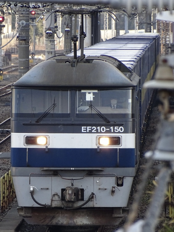 JR貨物EF210形電気機関車 EF210-150 鶴見駅 鉄道フォト・写真 by 浜五井臨時常備さん | レイルラボ(RailLab)