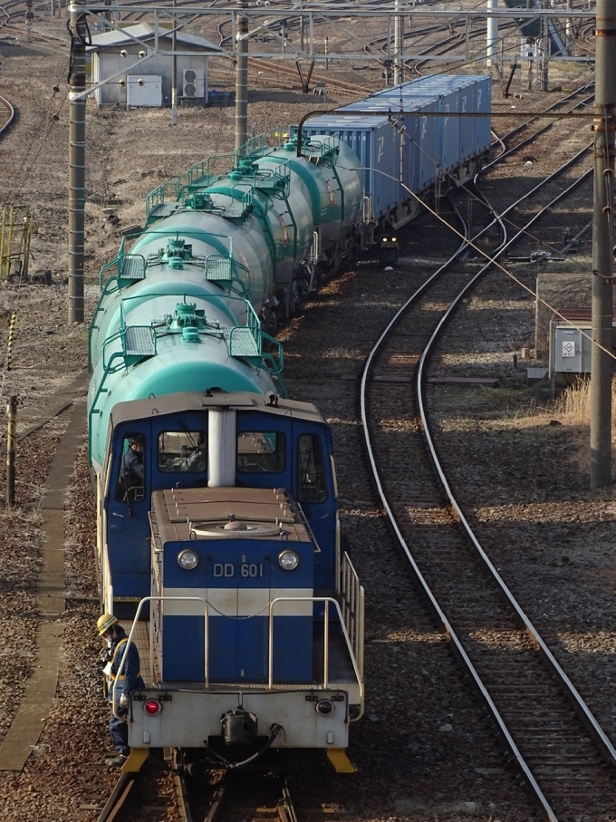 神奈川臨海鉄道DD60形ディーゼル機関車 DD601 小島新田駅 鉄道フォト・写真 by 浜五井の撮影記録さん | レイルラボ(RailLab)