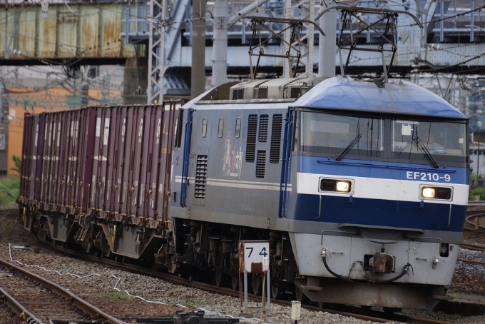 JR貨物EF210形電気機関車 EF210-9 鶴見駅 鉄道フォト・写真 by 浜五井の撮影記録さん | レイルラボ(RailLab)
