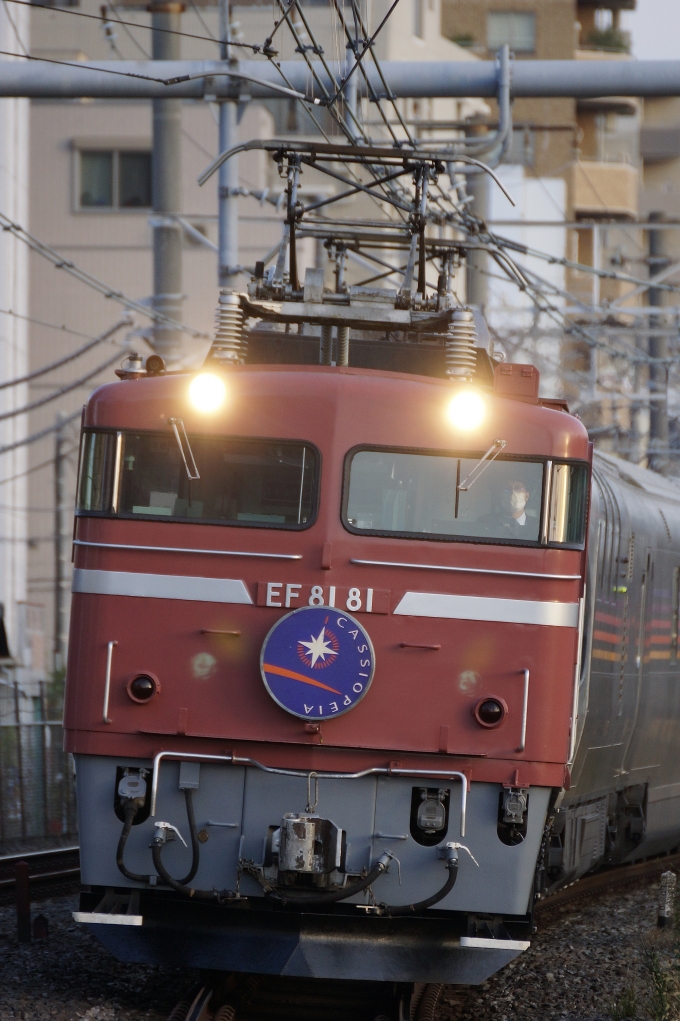 JR東日本 国鉄EF81形電気機関車 カシオペア紀行 EF81-81 尾久駅 鉄道フォト・写真 by 浜五井の撮影記録さん | レイルラボ ...