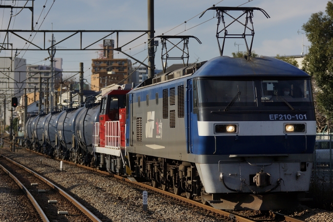 JR貨物EF210形電気機関車 EF210-101 川崎新町駅 鉄道フォト・写真 by 浜五井の撮影記録さん | レイルラボ(RailLab)