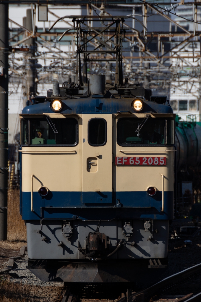 JR貨物 国鉄EF65形電気機関車 EF65 2085 新川崎駅 鉄道フォト・写真 by 浜五井の撮影記録さん | レイルラボ(RailLab)