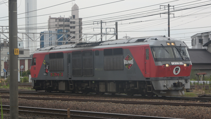 JR貨物 DF200形ディーゼル機関車 DF200-207 稲沢駅 鉄道フォト・写真 by Aimyuさん | レイルラボ(RailLab)