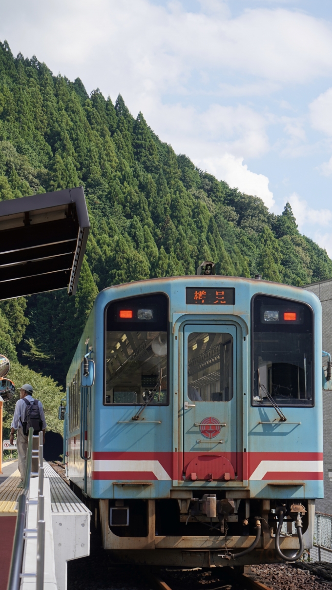 樽見鉄道ハイモ330-700形気動車 ハイモ330-703 樽見駅 鉄道フォト・写真 by べーたけさん | レイルラボ(RailLab)