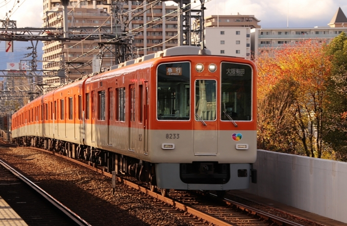 阪神電鉄 阪神8000系電車 8233 大物駅 鉄道フォト・写真 by 薄着管理職さん | レイルラボ(RailLab)