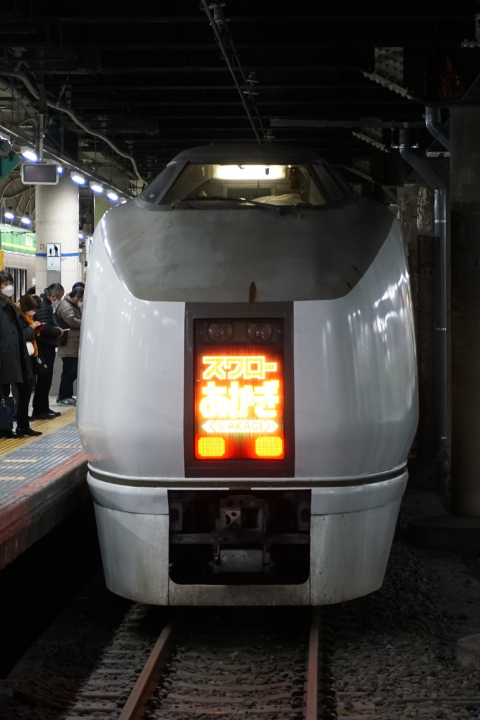 JR東日本651系電車 スワローあかぎ クハ651-1003 上野駅 (JR) 鉄道フォト・写真 by E4系P82編成さん | レイルラボ(RailLab)