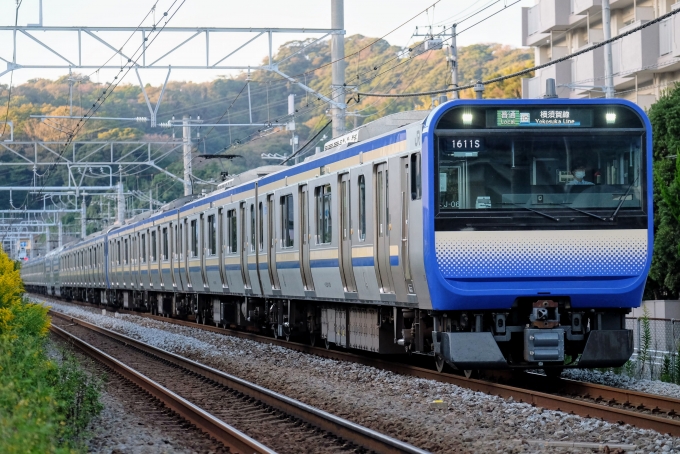 JR東日本E235系電車 クハE235-1106 逗子駅 鉄道フォト・写真 by manatoさん | レイルラボ(RailLab)