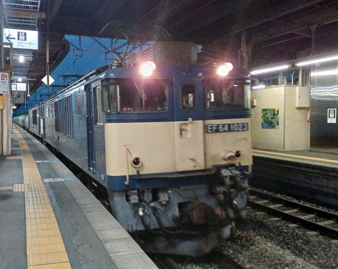 JR貨物 国鉄EF64形電気機関車 EF64-1023 塩尻駅 鉄道フォト・写真 by 宮ｵｵE257系 OM-92編成さん | レイルラボ(RailLab)