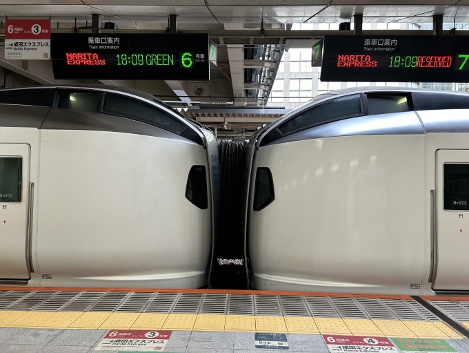 E259系 Ne005編成 (鎌倉車両センター) 鉄道フォト | レイルラボ(RailLab)