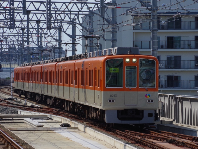阪神電鉄 阪神8000系電車 8213 青木駅 鉄道フォト・写真 by 急行うわじまさん | レイルラボ(RailLab)