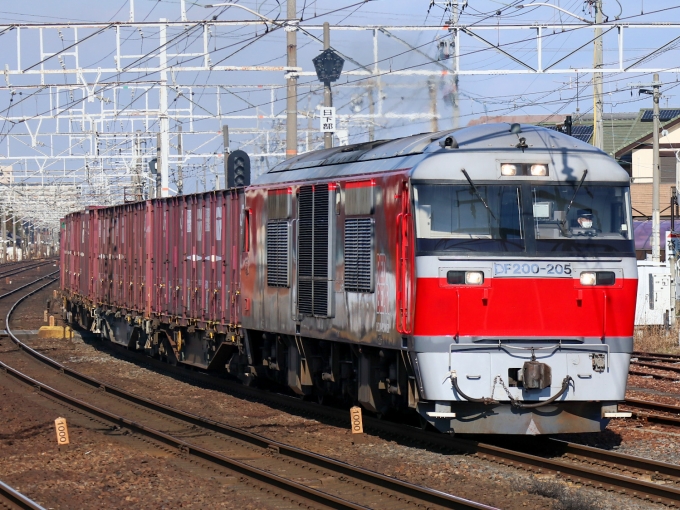 JR貨物 DF200形ディーゼル機関車 DF200-205 清洲駅 鉄道フォト・写真 by Yの人さん | レイルラボ(RailLab)