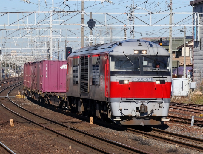 JR貨物 DF200形ディーゼル機関車 DF200-216 清洲駅 鉄道フォト・写真 by Yの人さん | レイルラボ(RailLab)