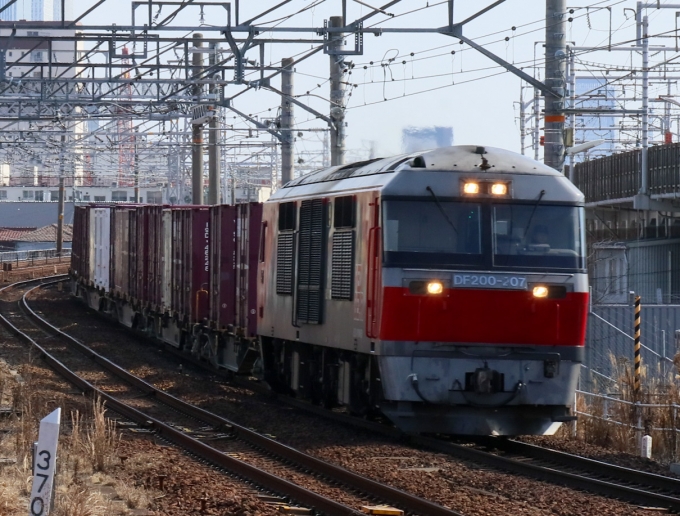 JR貨物 DF200形ディーゼル機関車 DF200-207 枇杷島駅 (JR) 鉄道フォト・写真 by Yの人さん | レイルラボ(RailLab)