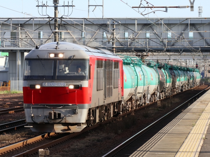JR貨物 DF200形ディーゼル機関車 DF200-216 清洲駅 鉄道フォト・写真 by Yの人さん | レイルラボ(RailLab)