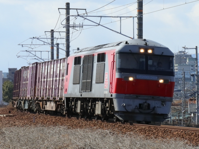 JR貨物 DF200形ディーゼル機関車 DF200-207 八田駅 (JR) 鉄道フォト・写真 by Yの人さん | レイルラボ(RailLab)