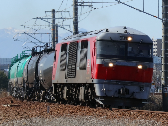 JR貨物 DF200形ディーゼル機関車 DF200-216 八田駅 (JR) 鉄道フォト・写真 by Yの人さん | レイルラボ(RailLab)