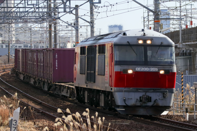 JR貨物 DF200形ディーゼル機関車 DF200-205 枇杷島駅 (JR) 鉄道フォト・写真 by Yの人さん | レイルラボ(RailLab)