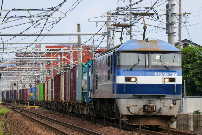 JR貨物EF210形電気機関車 EF210-129 木曽川駅 鉄道フォト・写真 by Yの人さん | レイルラボ(RailLab)