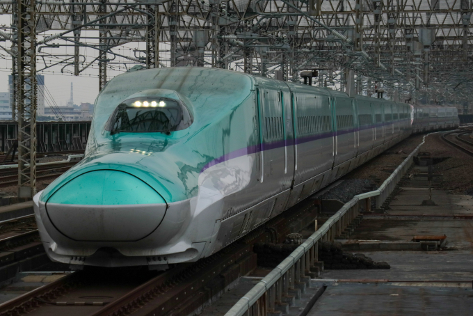 JR北海道 H5系新幹線電車 はやぶさ H523-3 大宮駅 (埼玉県|JR) 鉄道フォト・写真 by Yの人さん | レイルラボ(RailLab)