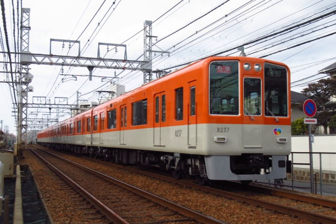 阪神電鉄 阪神8000系電車 8237 打出駅 鉄道フォト・写真 by KH_5601さん | レイルラボ(RailLab)