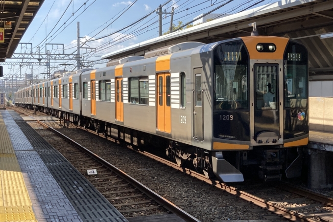 阪神電鉄 阪神1000系電車 1209 芦屋駅 (阪神) 鉄道フォト・写真 by かいそうしゃさん | レイルラボ(RailLab)