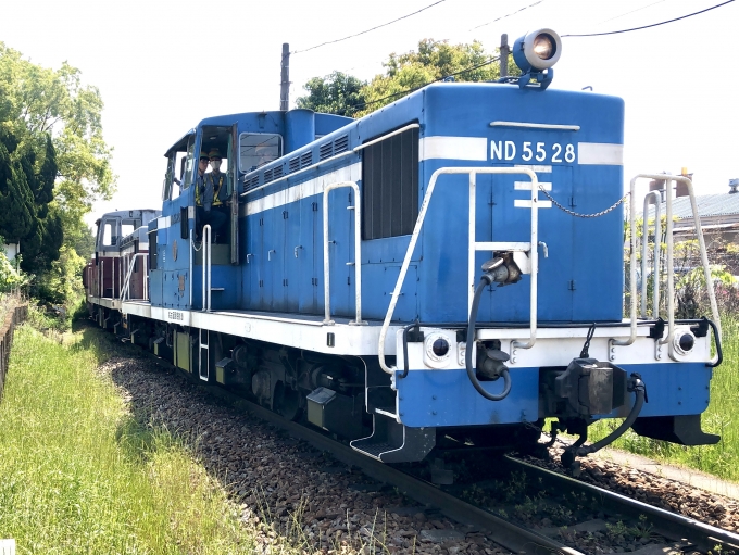 名古屋臨海鉄道ND552形ディーゼル機関車 ND552-8 + ND552-7 大同町駅 鉄道フォト・写真 by よっさん | レイルラボ(RailLab)