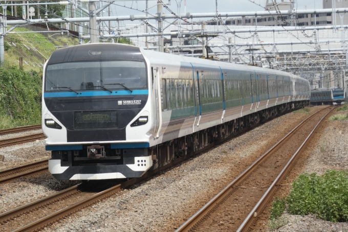 JR東日本E257系電車 クハE256-2016 新子安駅 鉄道フォト・写真 by Silence-Suzumeさん | レイルラボ(RailLab)