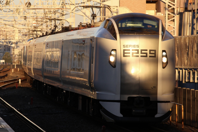 JR東日本E259系電車 成田エクスプレス クロE259-13 市川駅 鉄道フォト・写真 by 常磐線民さん | レイルラボ(RailLab)