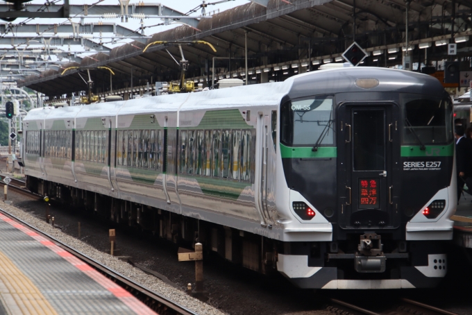 JR東日本E257系電車 草津・四万 クハE257-5512 赤羽駅 鉄道フォト・写真 by やまどりの人さん | レイルラボ(RailLab)
