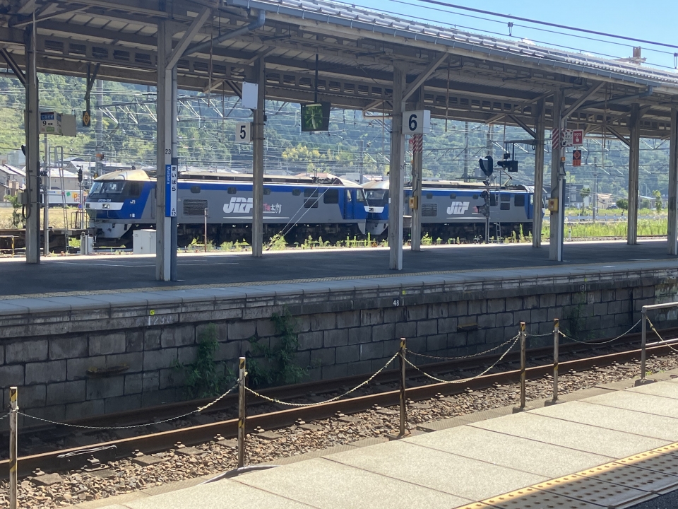 JR貨物EF210形電気機関車 EF210-124 米原駅 (JR) 鉄道フォト・写真(拡大) by ひでおさん | レイルラボ(RailLab)