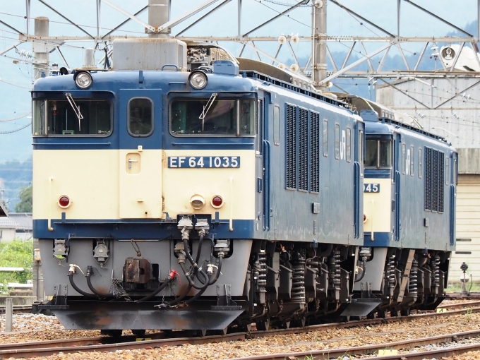 JR貨物 国鉄EF64形電気機関車 EF64‐1035 塩尻機関区篠ノ井派出 鉄道フォト・写真 by 長ナノさん | レイルラボ(RailLab)