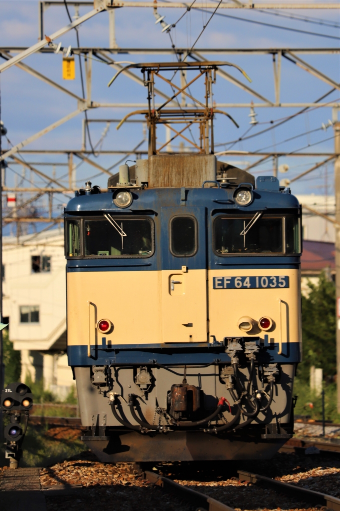 JR貨物 国鉄EF64形電気機関車 EF64-1035 塩尻機関区篠ノ井派出 鉄道フォト・写真 by 長ナノさん | レイルラボ(RailLab)