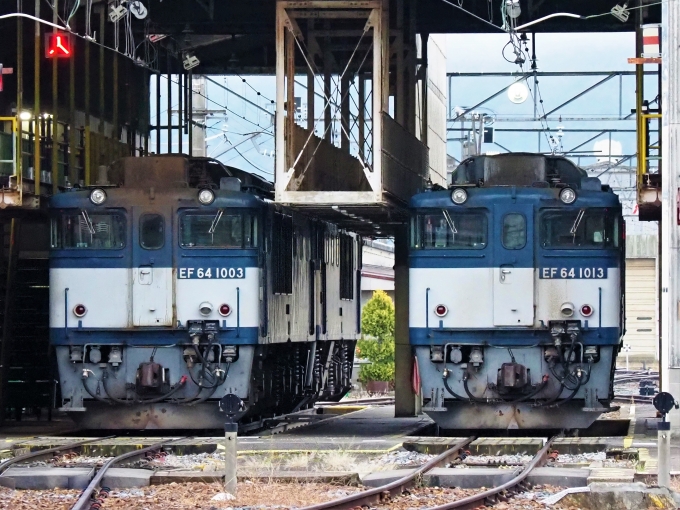 JR貨物 国鉄EF64形電気機関車 EF64-1003 ししぶ駅 鉄道フォト・写真 by 長ナノさん | レイルラボ(RailLab)