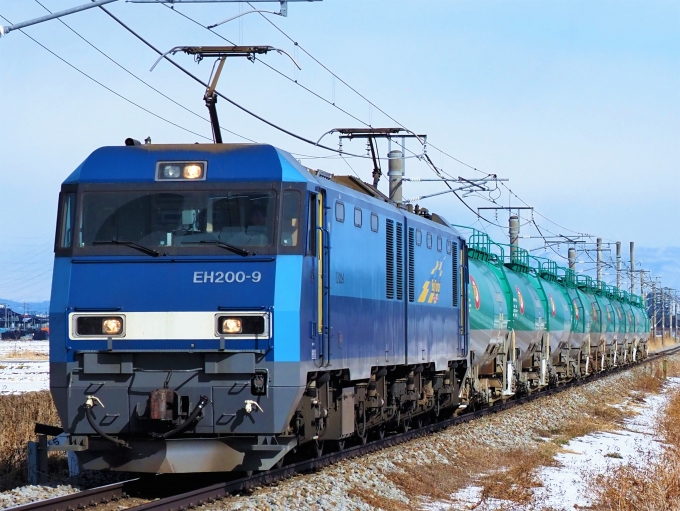 JR貨物EH200形電気機関車 EH200-9 篠ノ井駅～稲荷山駅 鉄道フォト・写真 by 長ナノさん | レイルラボ(RailLab)
