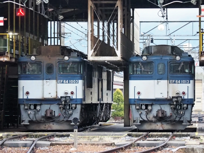 JR貨物 国鉄EF64形電気機関車 EF64-1003 塩尻機関区篠ノ井派出 鉄道フォト・写真 by 長ナノさん | レイルラボ(RailLab)