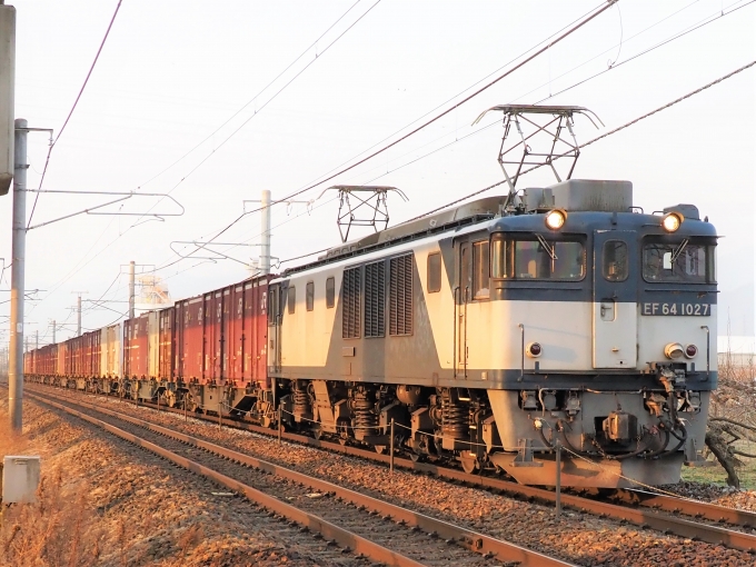 JR貨物 国鉄EF64形電気機関車 EF64-1027 篠ノ井駅～今井駅 鉄道フォト・写真 by 長ナノさん | レイルラボ(RailLab)