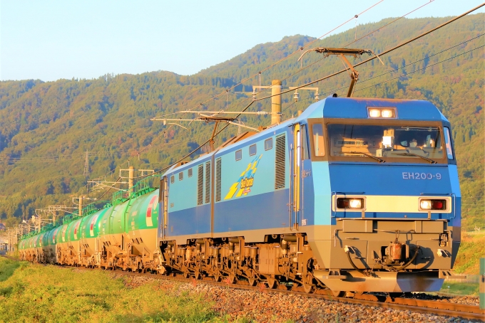 JR貨物EH200形電気機関車 EH200-9 稲荷山駅 鉄道フォト・写真 by 長ナノさん | レイルラボ(RailLab)