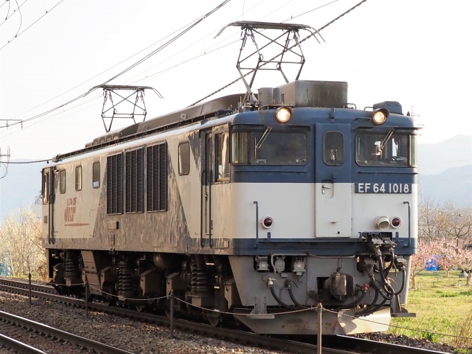 JR貨物 国鉄EF64形電気機関車 EF64-1018 篠ノ井駅 (JR) 鉄道フォト・写真 by 長ナノさん | レイルラボ(RailLab)
