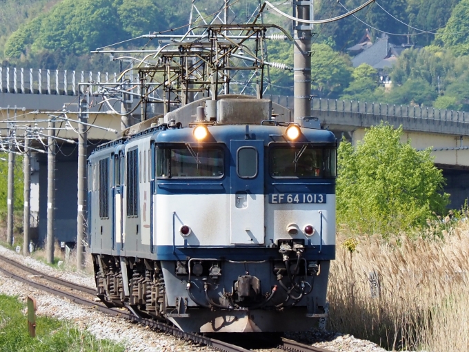 JR貨物 国鉄EF64形電気機関車 EF64-1013 稲荷山駅 鉄道フォト・写真 by 長ナノさん | レイルラボ(RailLab)