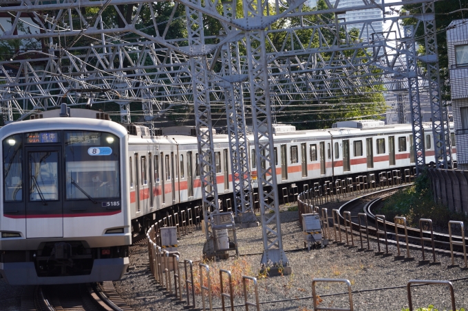 東急電鉄 東急5000系電車 5185 多摩川駅 鉄道フォト・写真 by くらぼんぼんさん | レイルラボ(RailLab)