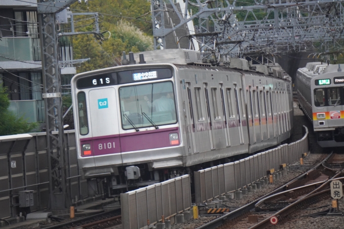 東京メトロ 営団8000系電車 8101 溝の口駅 鉄道フォト・写真 by くらぼんぼんさん | レイルラボ(RailLab)
