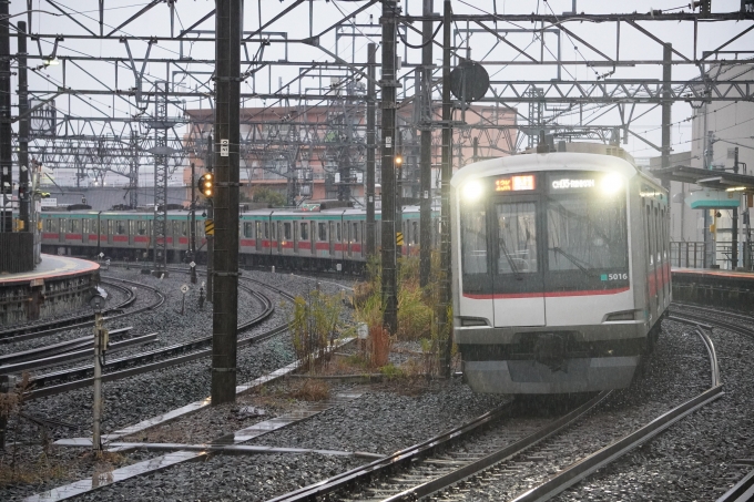 東急電鉄 東急5000系電車 5016 鐘ヶ淵駅 鉄道フォト・写真 by くらぼんぼんさん | レイルラボ(RailLab)