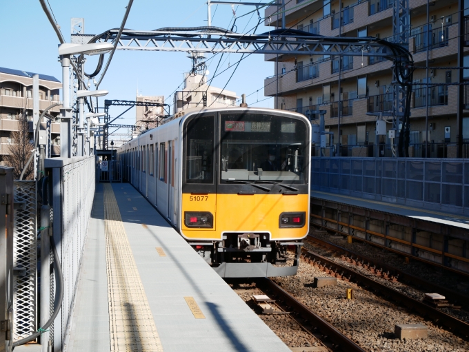 東武鉄道 東武50000系電車 Fライナー 51077 都立大学駅 鉄道フォト・写真 by くらぼんぼんさん | レイルラボ(RailLab)
