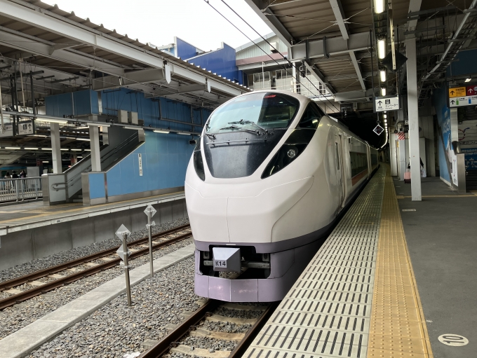 JR東日本E657系電車 クハE657-14 品川駅 (JR) 鉄道フォト・写真 by くらぼんぼんさん | レイルラボ(RailLab)