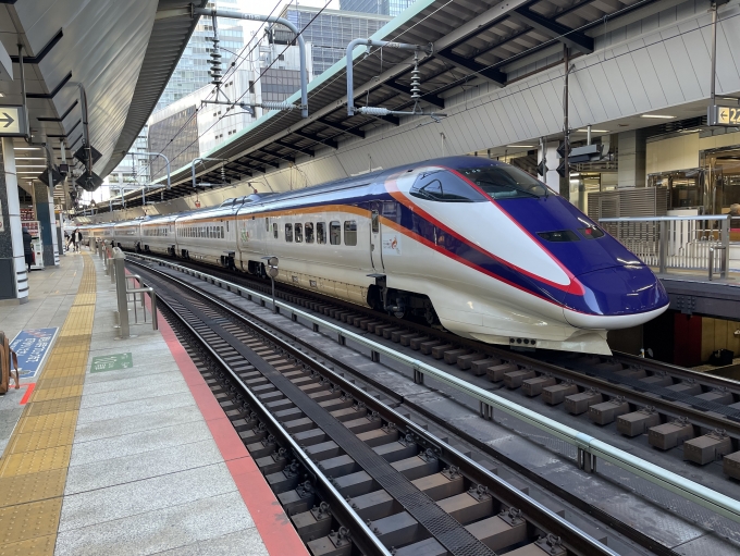 JR東日本 E3系新幹線電車 E311-1005 東京駅 (JR) 鉄道フォト・写真 by abikoshiyさん | レイルラボ(RailLab)