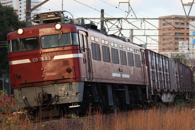 JR貨物 国鉄ED76形電気機関車 ED76 83 鹿児島中央駅 鉄道フォト・写真 by スーパーシロワニさん | レイルラボ(RailLab)