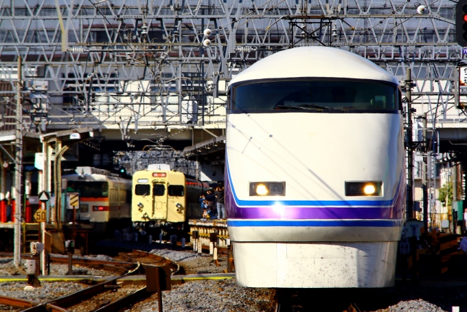 東武鉄道 東武100系電車 けごん 東武動物公園駅 鉄道フォト・写真 by trdamさん | レイルラボ(RailLab)